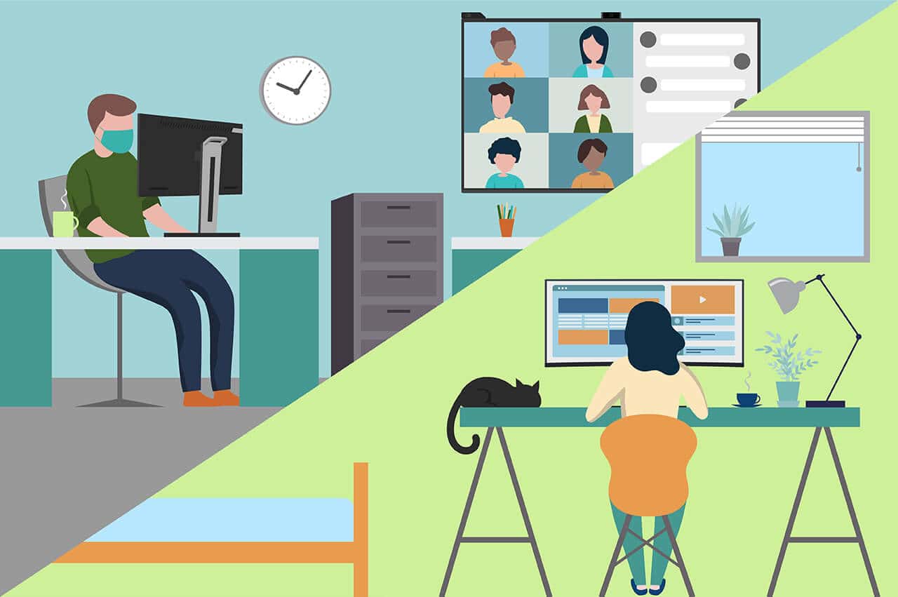 The Cubicle Life: An Existence of Structure and Routine - Two Chicks ...